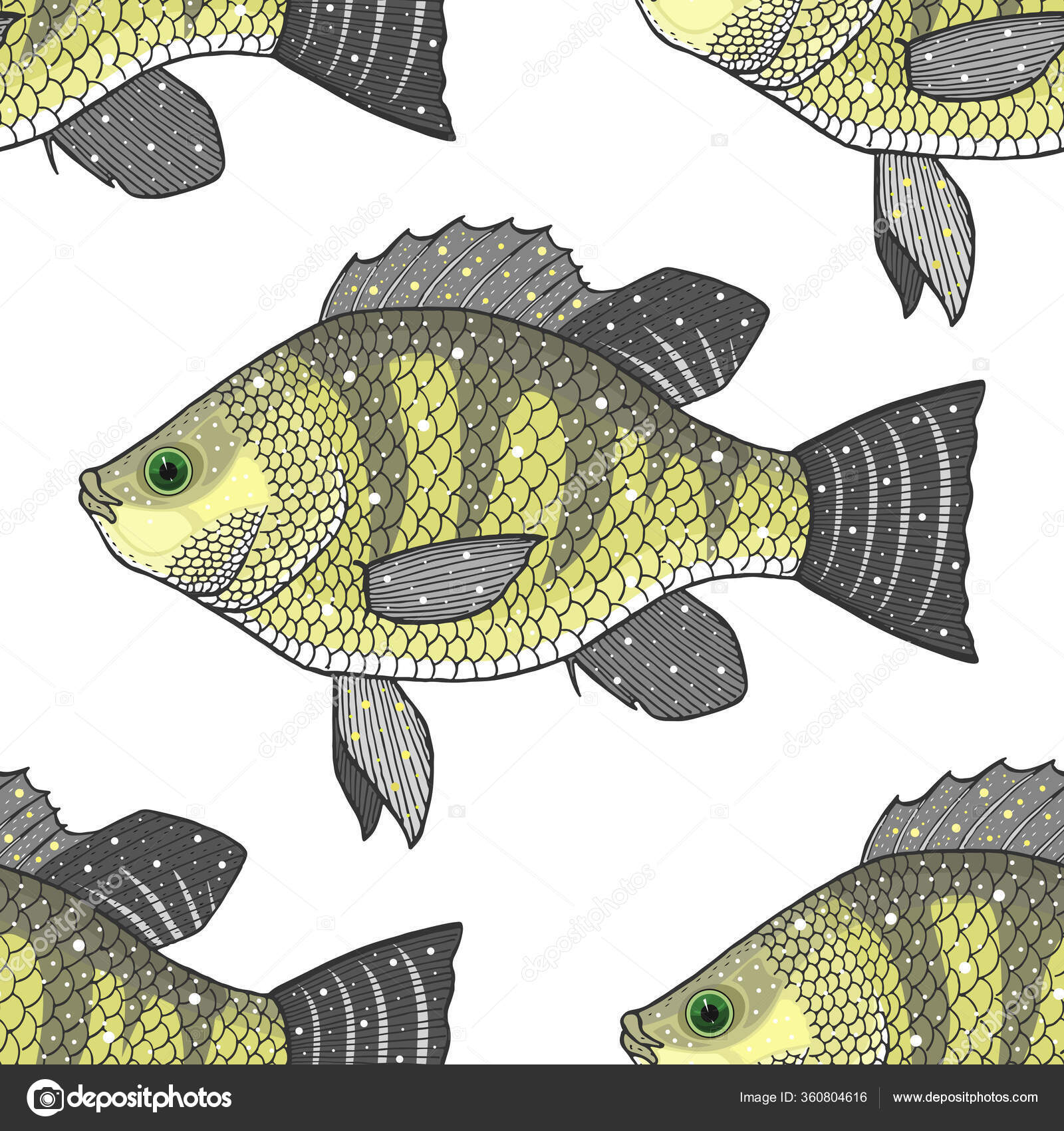 Tilapia Fish Vector Illustration Stock Vector Image by ©De-Frozen ...