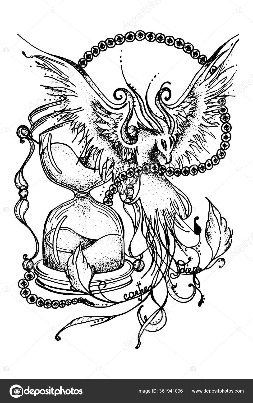 Phoenix Fire Bird Hourglass Outline Isolated White Background Phoenix ...