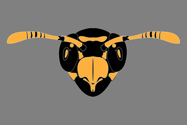 Fotos de Logo tawon, Imagens de Logo tawon sem royalties | Depositphotos