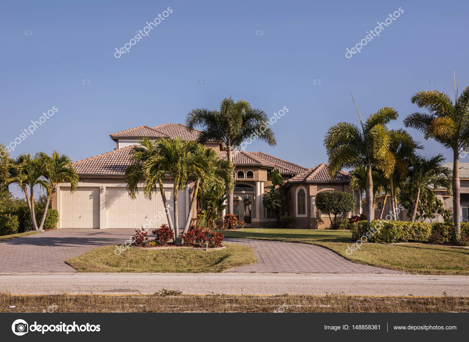 Sw Florida Flowering Trees