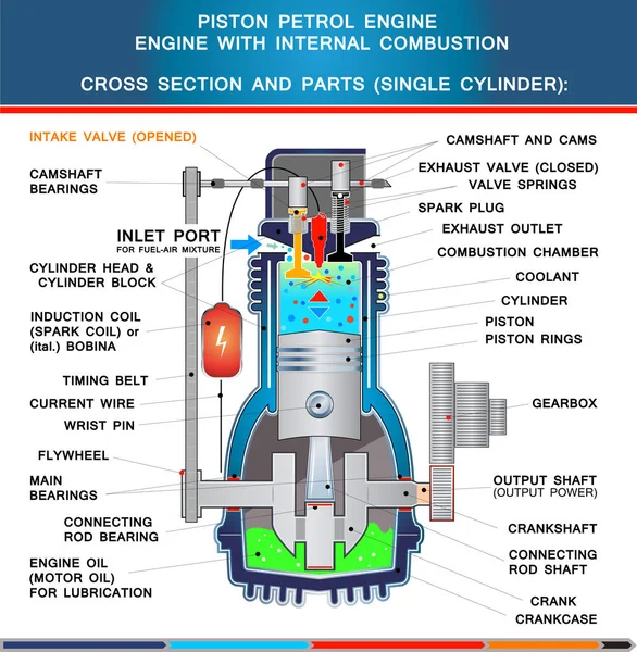 Piston Petrol Engine Structural Cross Section Four Stroke Combustion ...