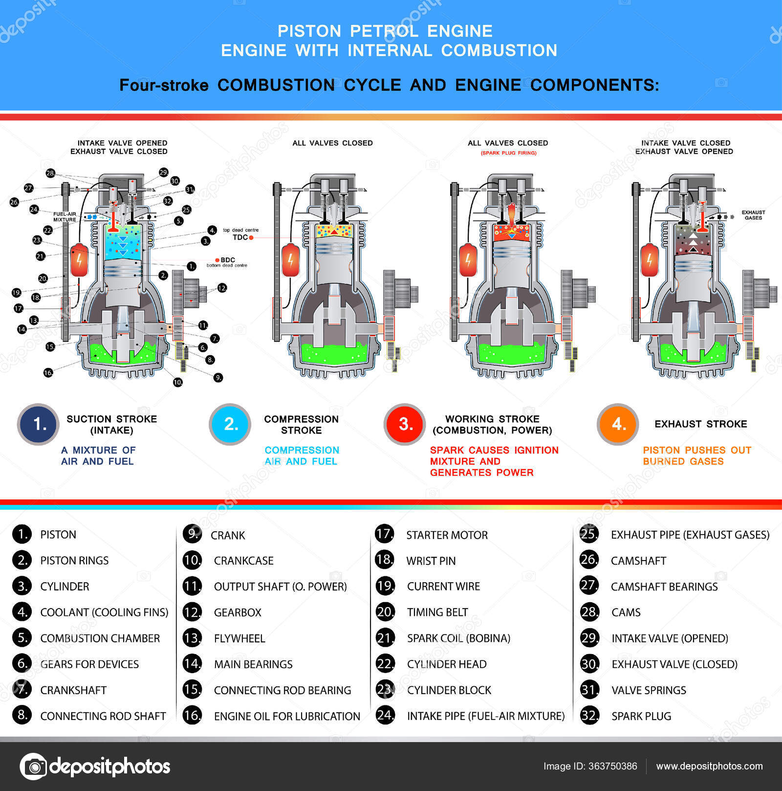 Piston Petrol Engine Structural Cross Section Four Stroke Combustion ...