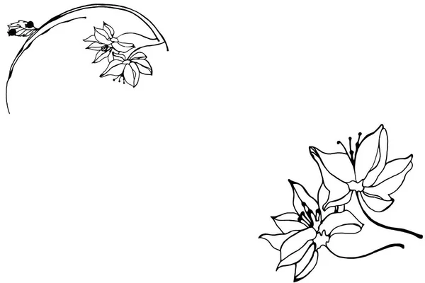 Parts of a flower outline without labelling Stock Photos, Royalty Free ...