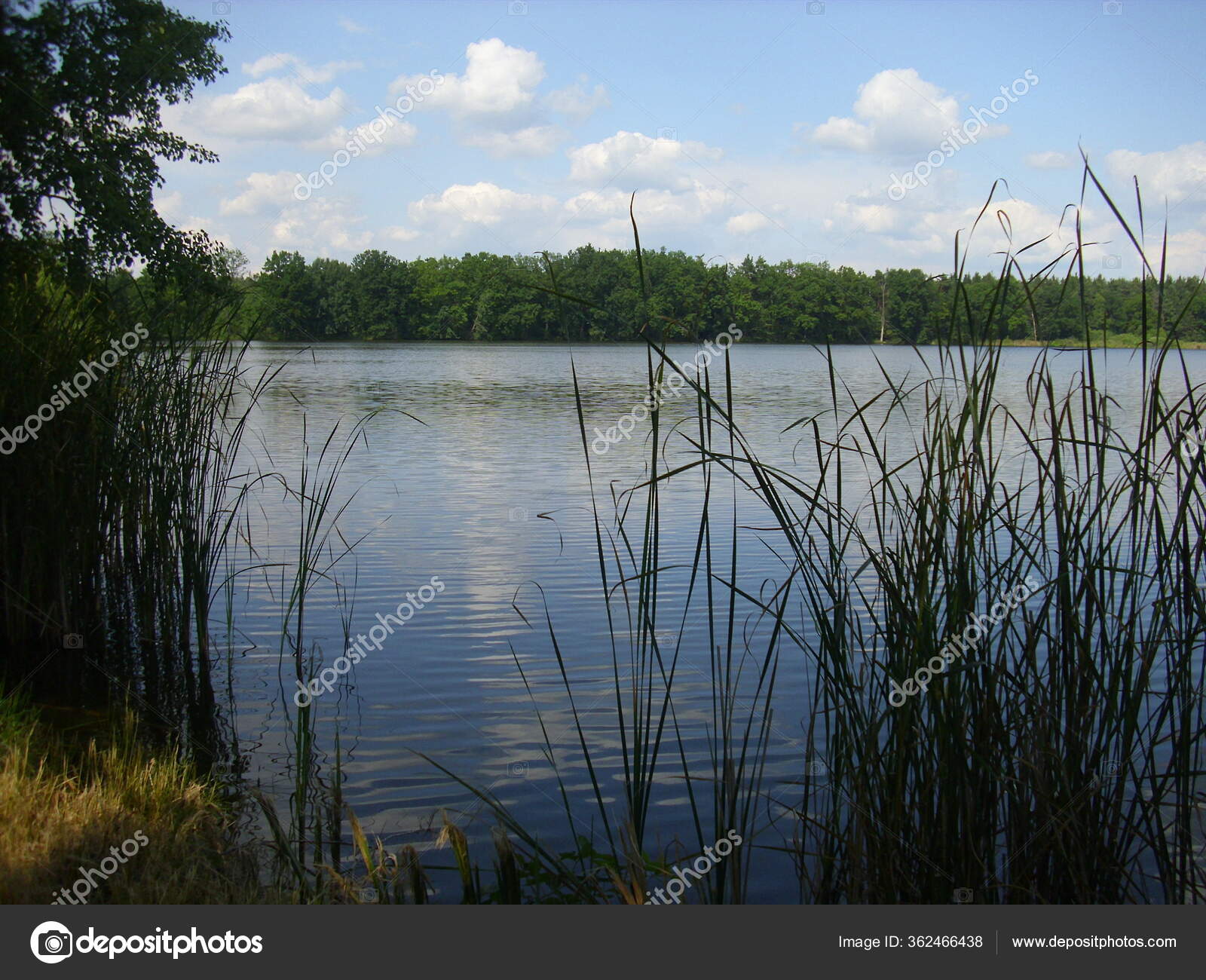 Trebon Pond System Magical Landscape Ponds Floodplain Forests South ...