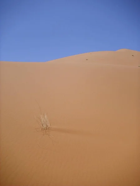 Fotos de Raw desert, Imagens de Raw desert sem royalties | Depositphotos