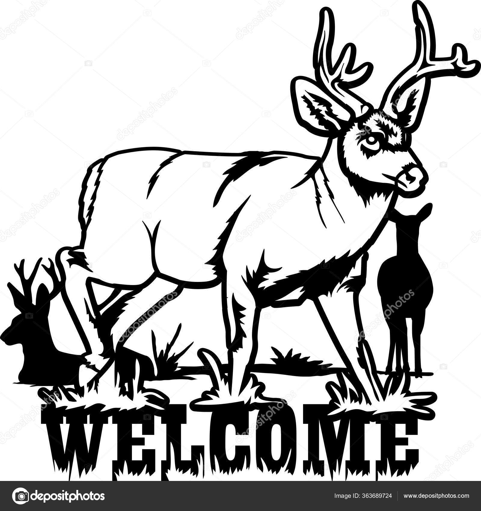 Mule Deer Vector