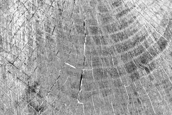 Feeding marks Stock Photos, Royalty Free Feeding marks Images ...