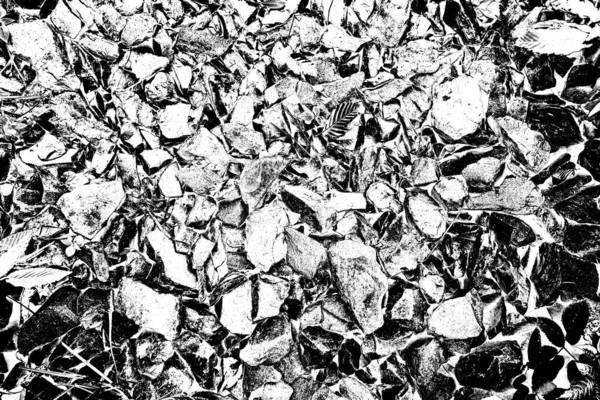 Rocky path in nature - Stock Image - Everypixel