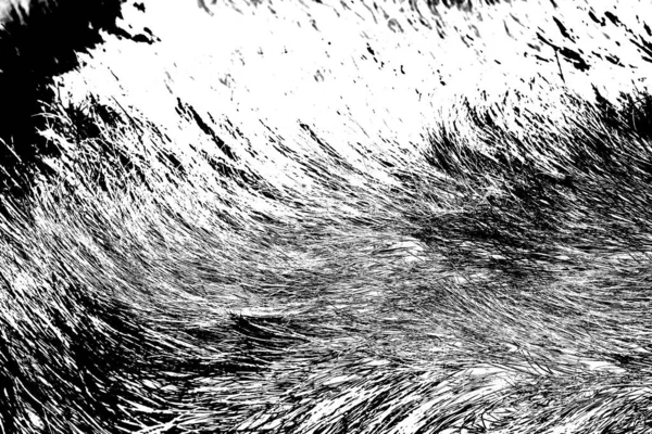 close up of boar fur texture, wildlife animal - Stock Image - Everypixel