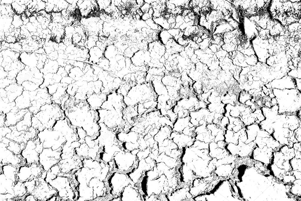 Grietas de contracción y desecación en tierra seca. Debido a la falta ...
