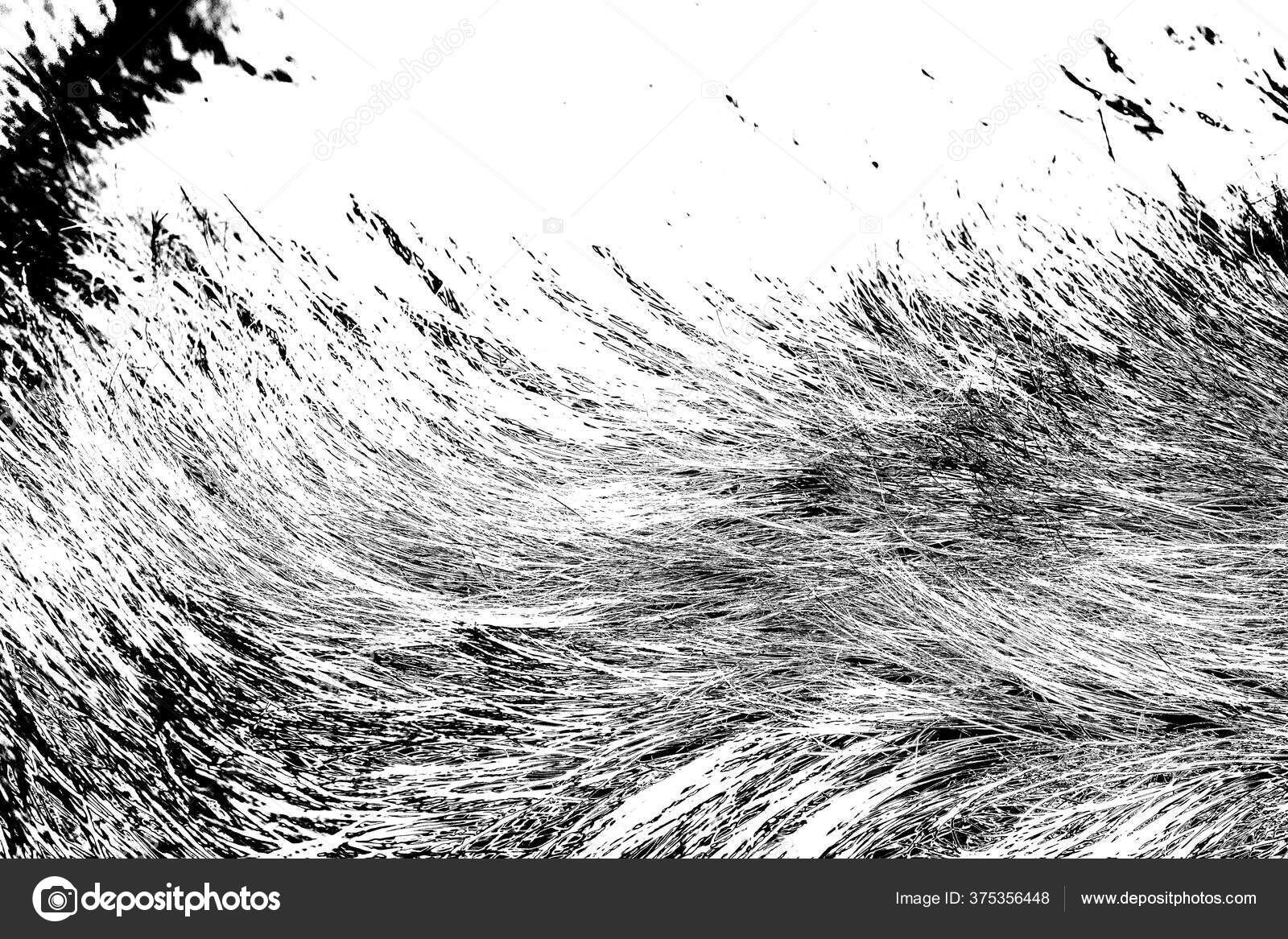 Close Boar Fur Texture Wildlife Animal — Stock Photo © ivanvbtv #375356448