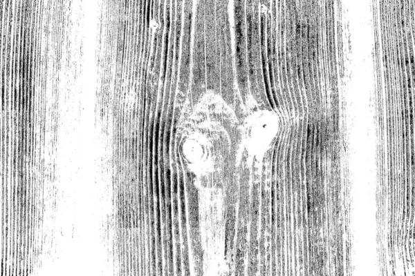 X ray foot Stock Photos, Royalty Free X ray foot Images | Depositphotos