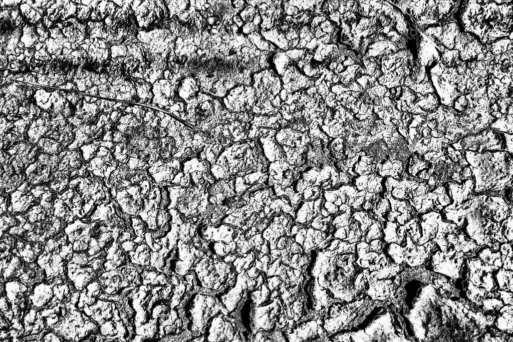 Grietas de contracción y desecación en tierra seca. Debido a la falta ...