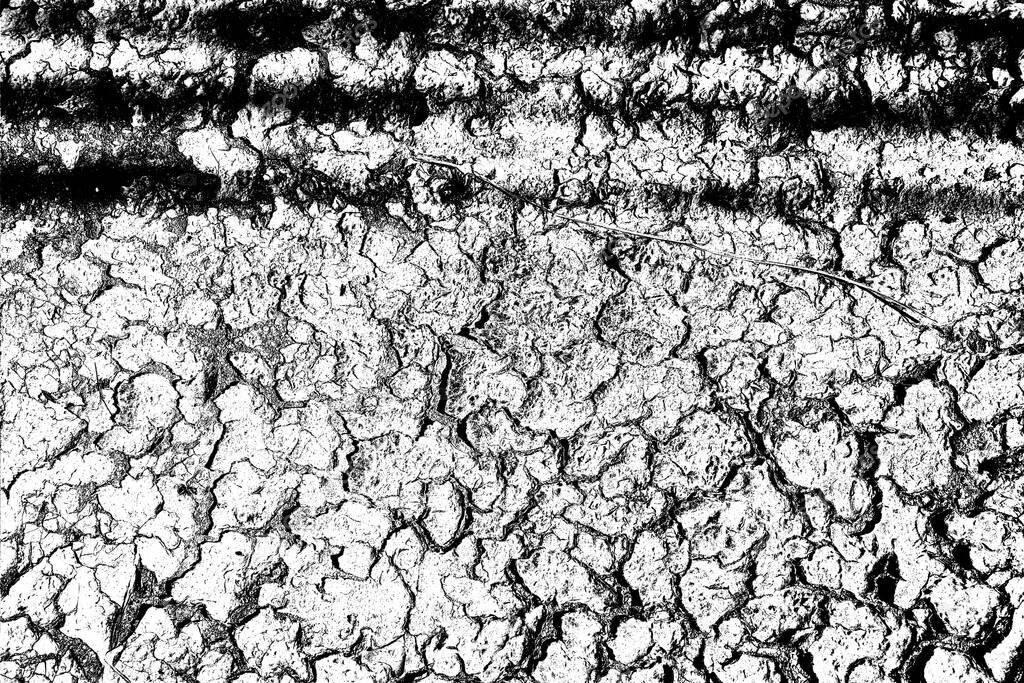 Grietas de contracción y desecación en tierra seca. Debido a la falta ...