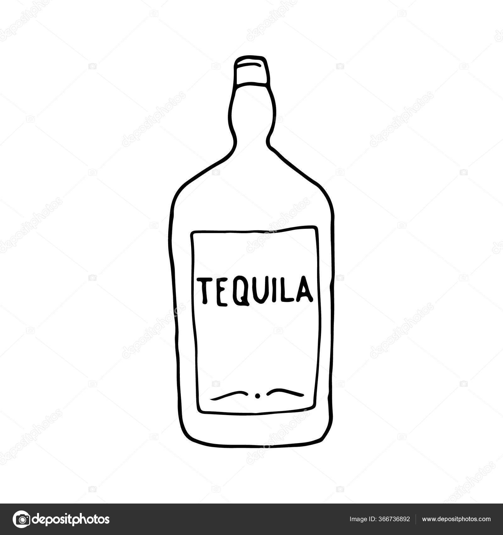 Tequila Mexican Traditional Alcoholic Drink Hand Drawn Sketch Doodle ...