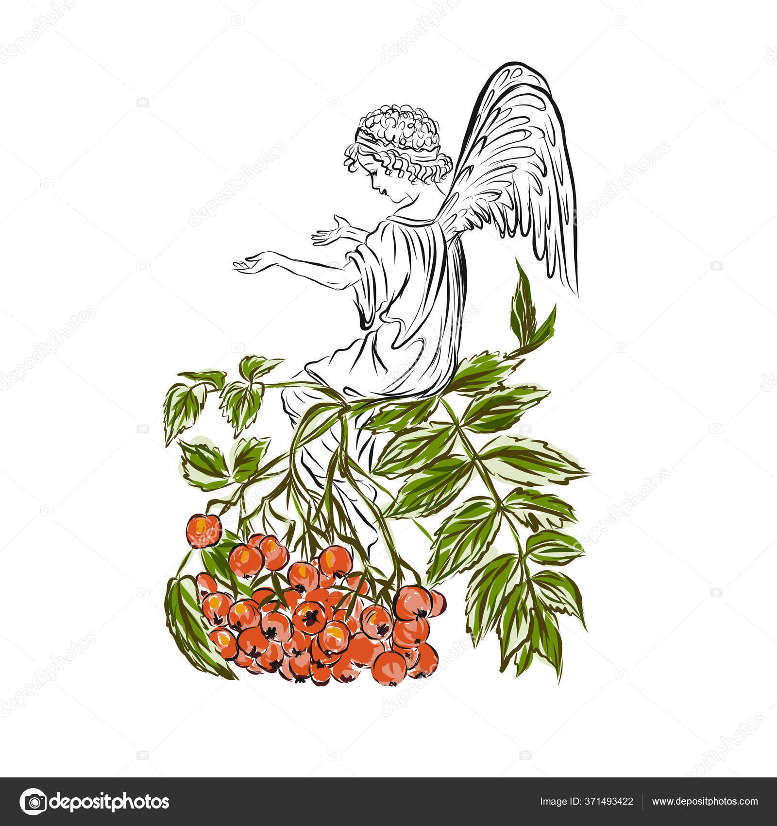 Angel Sits Rowan Branch Stock Vector by ©Irina_angelic 371493422