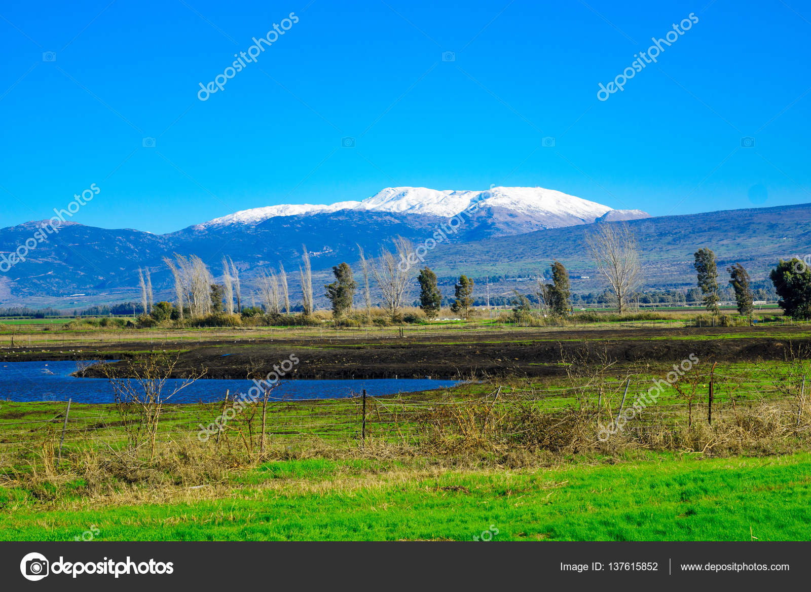 Vale do Hula e Monte Hermon, Norte de Israel fotos, imagens de © RnDmS ...