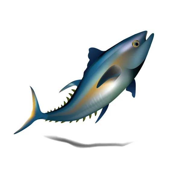 19,793,607 Bluefin tuna Vector Images | Depositphotos