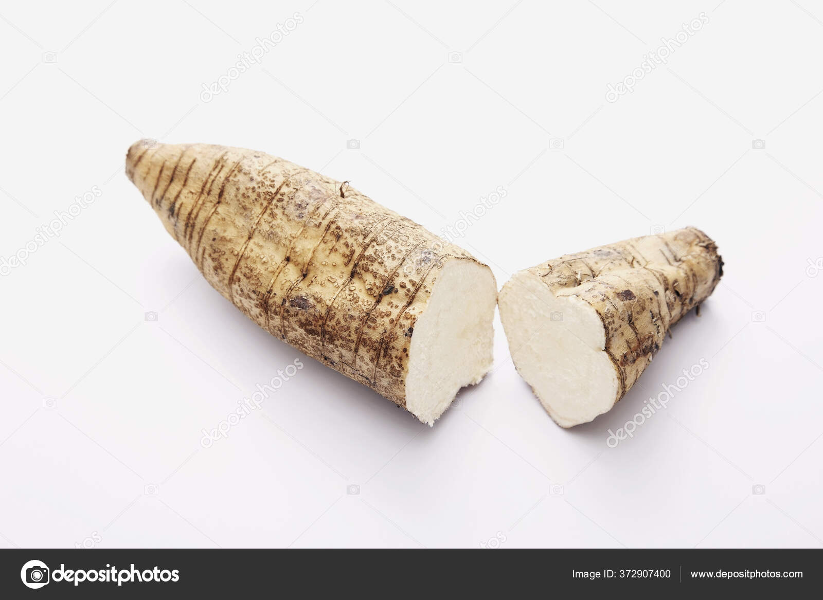 Sliced Kudzu Root White Background — Stock Photo © image_hit #372907400