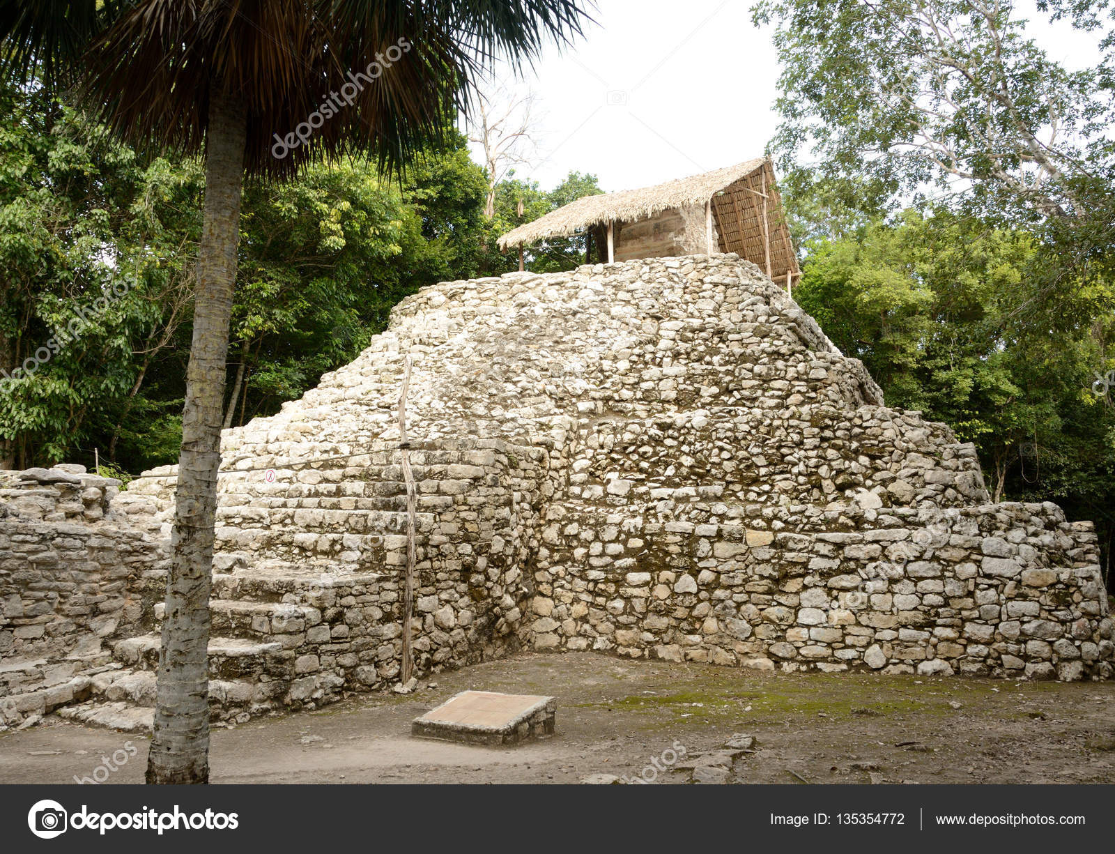 Small Mayan pyramid — Stock Photo © Famed01 #135354772
