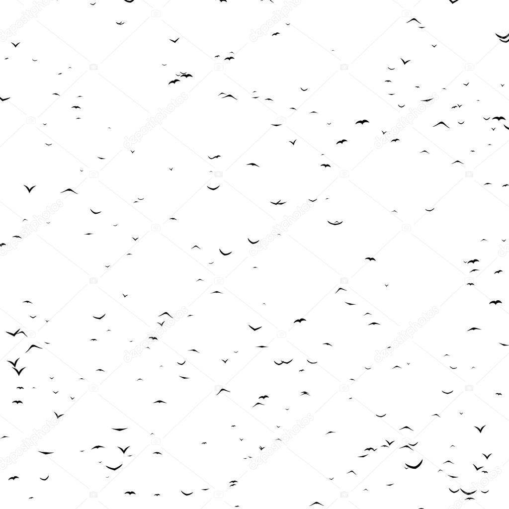 A flock of flying birds forms pumpkin - part of timelapse, stop motion ...