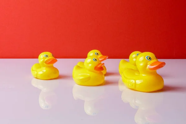 Group Ducks Follwing Big Duck Leadership Conceptual Stock Photo by ...