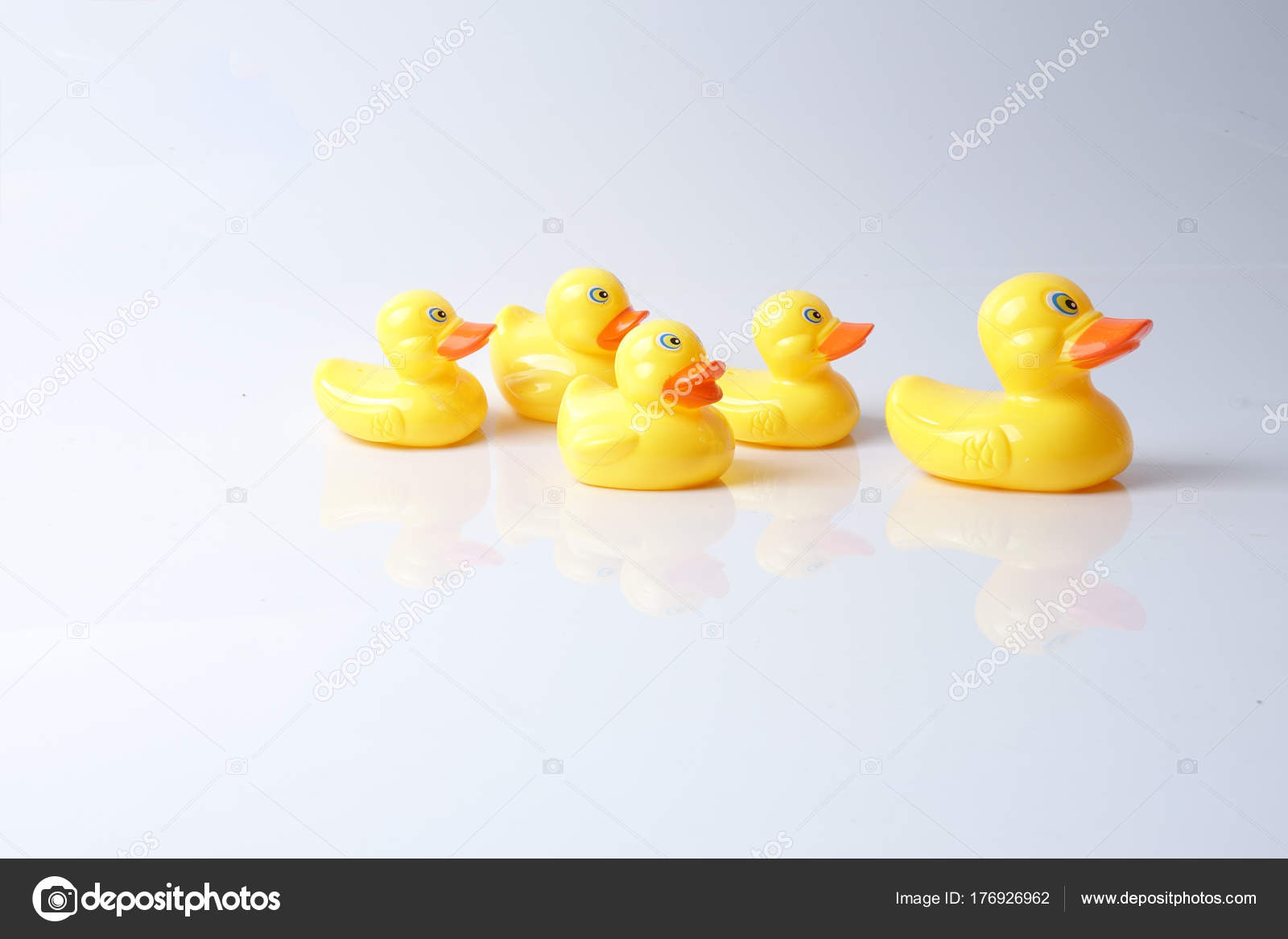 Group Ducks Follwing Big Duck Leadership Conceptual Stock Photo by ...