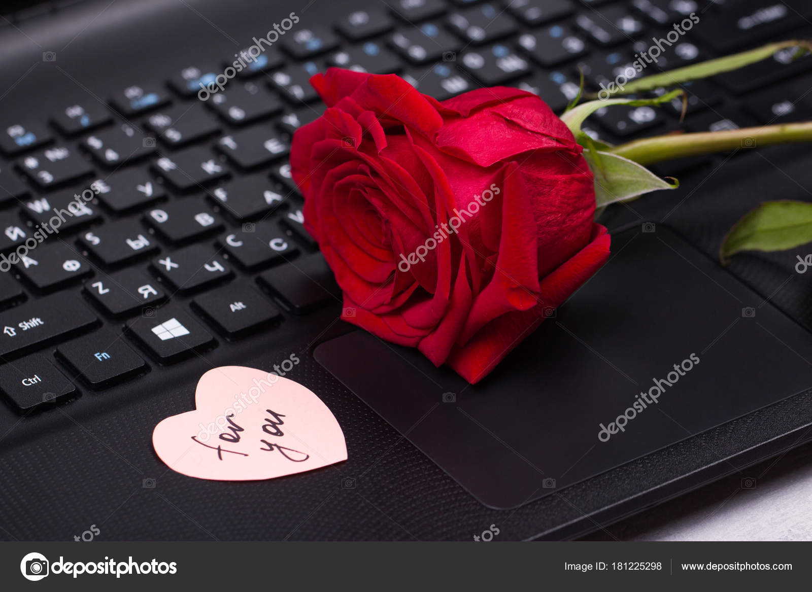 Romantic Background Red Rose Laptop Keyboard Top View Valentine's Women ...