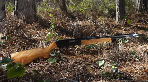 Wood rifle in the forest Stock Photo by ©gsagi 122691580