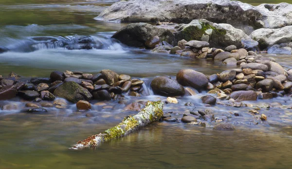 Freshwater conservation Stock Photos, Royalty Free Freshwater ...