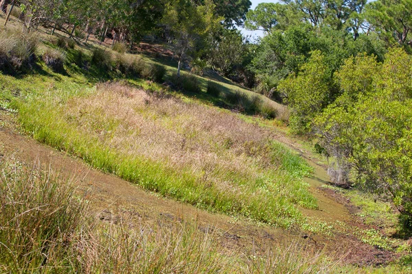 Scrodgee Stock Photos, Royalty Free Scrodgee Images | Depositphotos