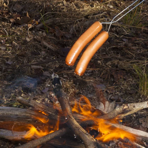 Roasting hot dogs Stock Photos, Royalty Free Roasting hot dogs Images ...