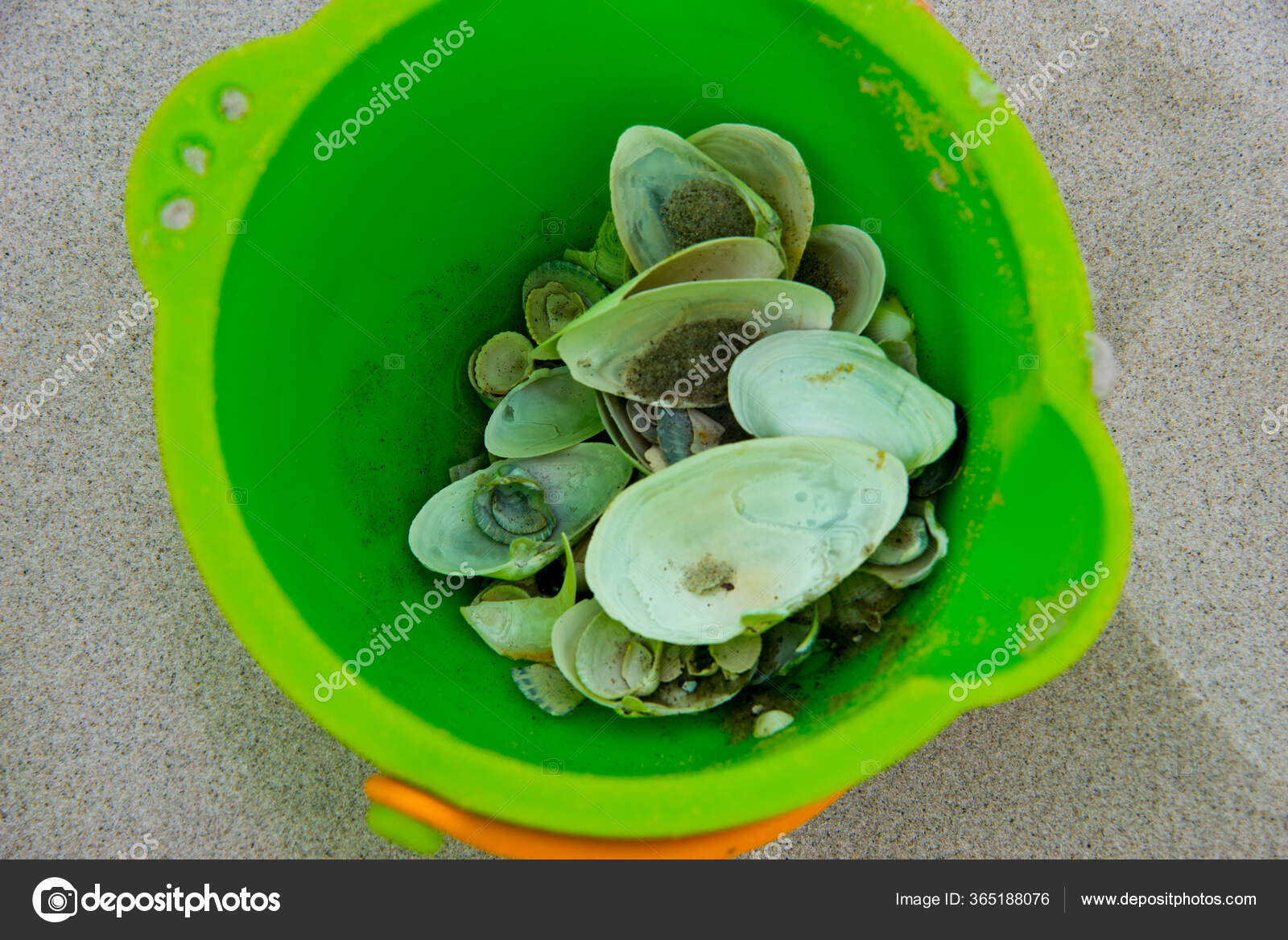 Sand Bucket Sea Shells Baltic Sea Beach — Stock Photo © nikolailink ...