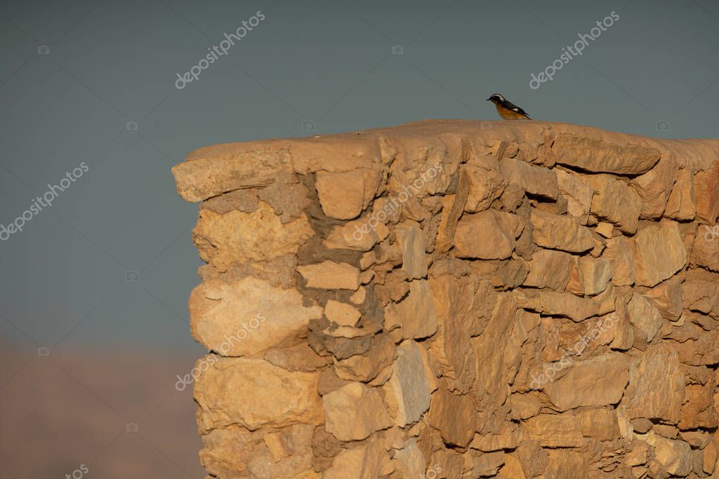 Chenini es un pueblo bereber en ruinas en el distrito de Tataouine en ...