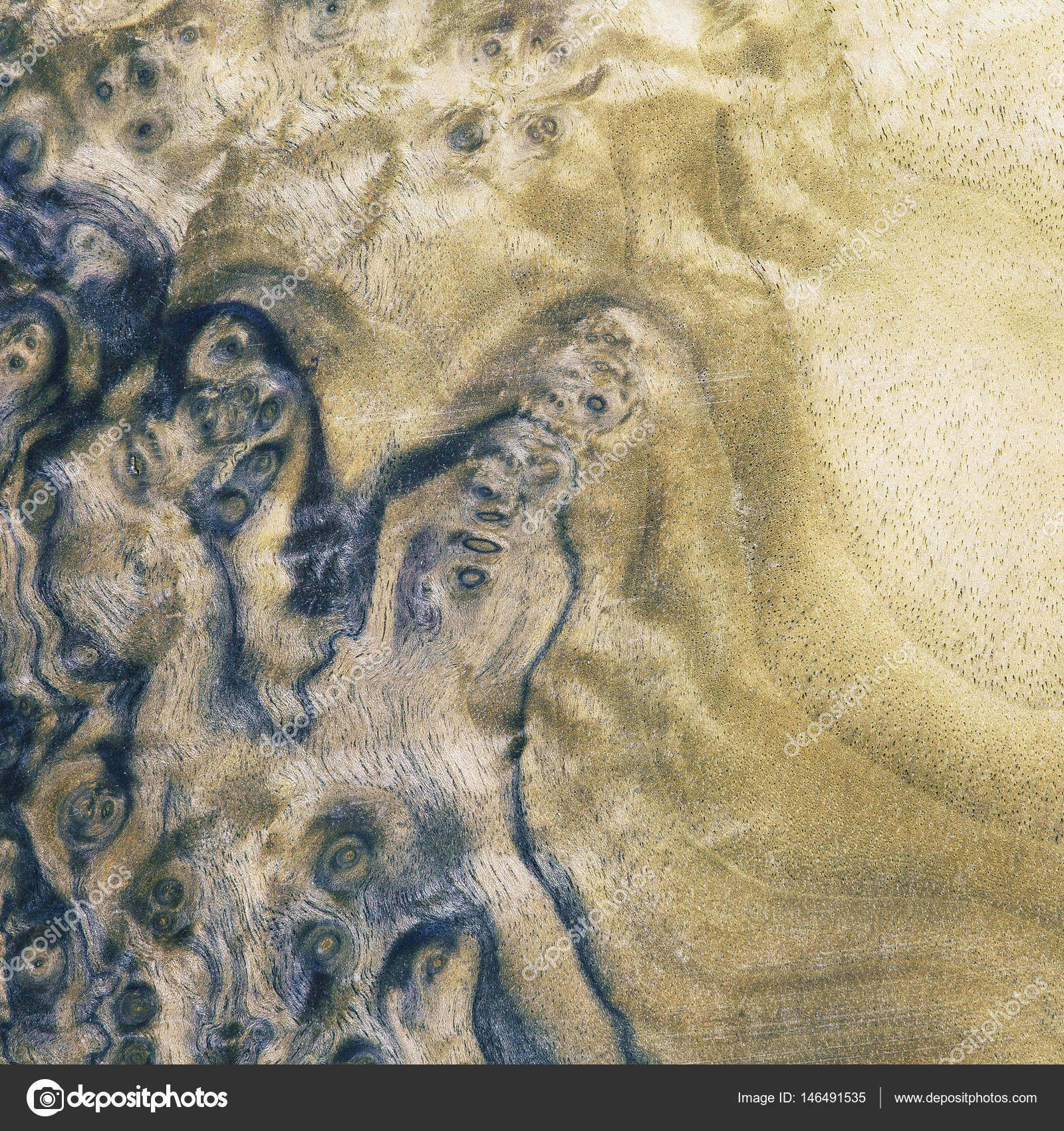 Exotic desk pattern, timber material — Stock Photo © otophoto #146491535