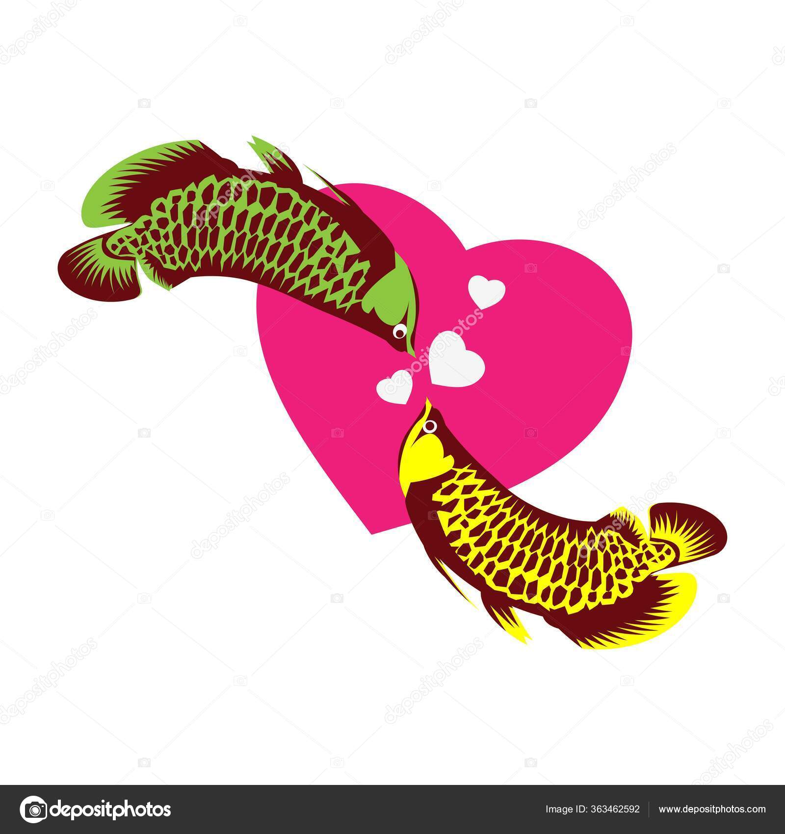Arowana Fish Vector Fish Love Vector Illustration White Background ...