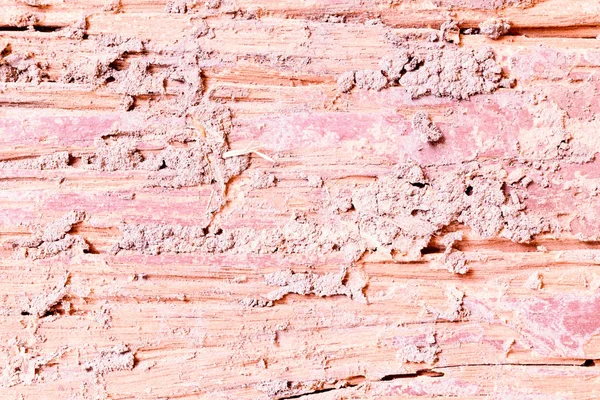 Decay wood texture — Stock Photo © PongMoji #65468197