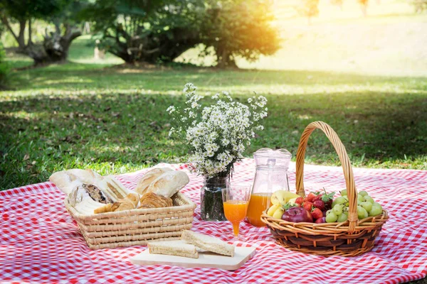 Picnic lunch Stock Photos, Royalty Free Picnic lunch Images | Depositphotos
