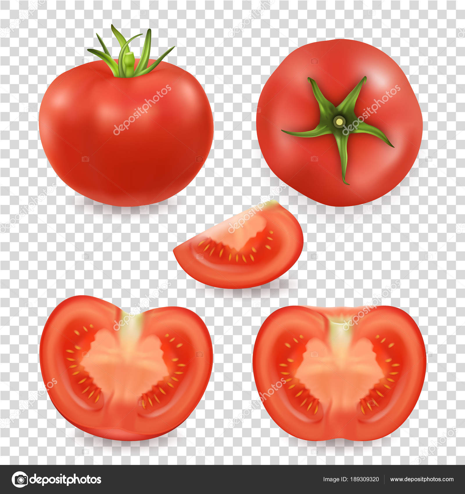 Slice Of Tomato Template