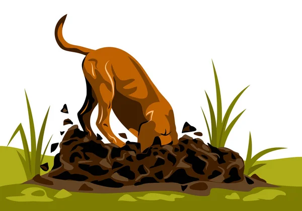 100,000 Dog digging Vector Images | Depositphotos