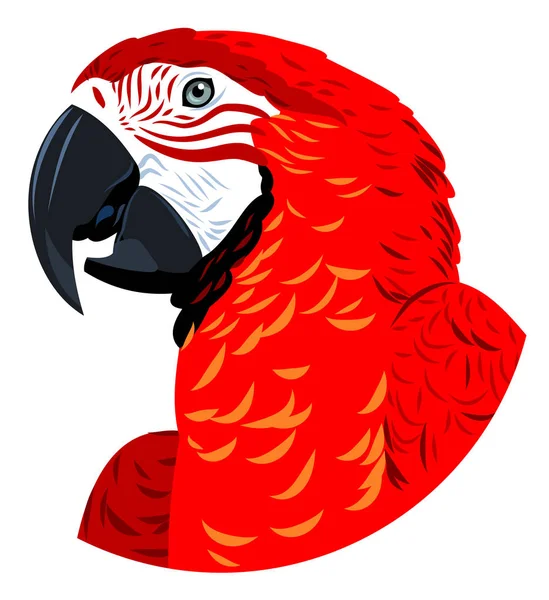 Vectores de stock de Guacamaya roja, ilustraciones de Guacamaya roja ...