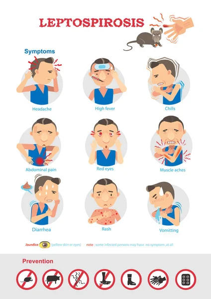 Leptospirosis Vector Art Stock Images | Depositphotos