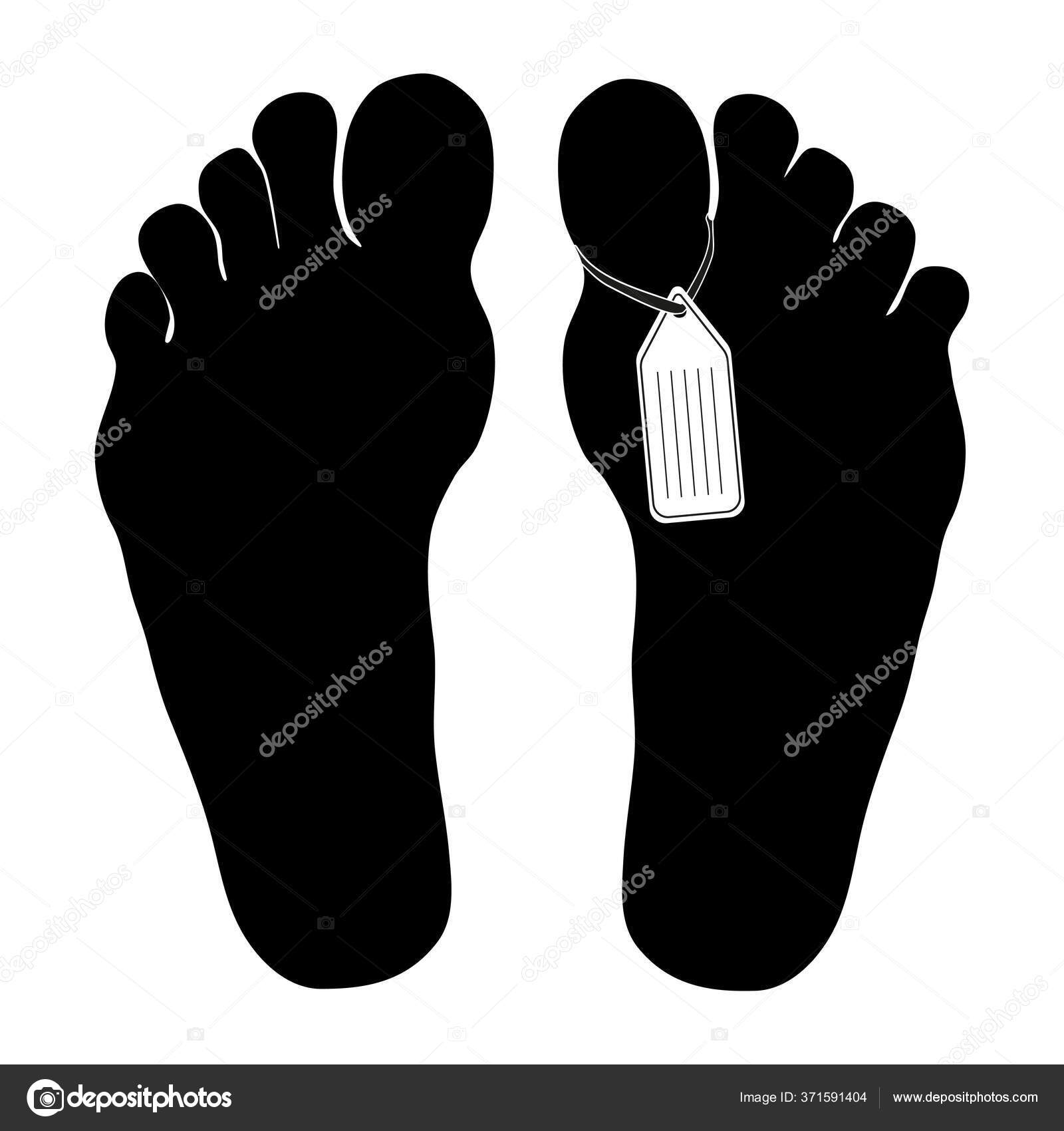 Legs Marked Death Corpse Morgue Flat Vector Illustration Isolated White ...