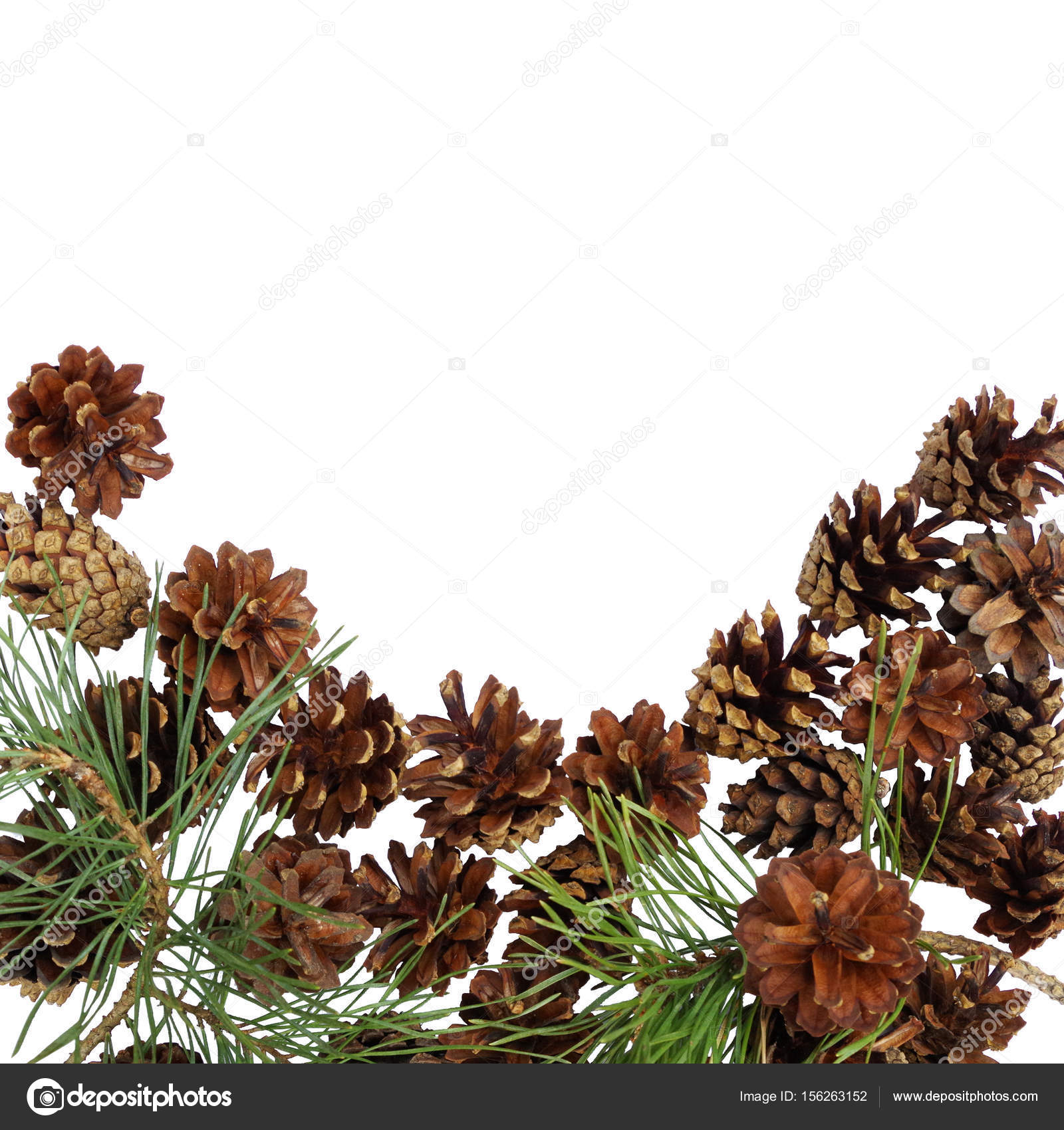 Frame border of a pine cones and branches. Isolated on a white ...