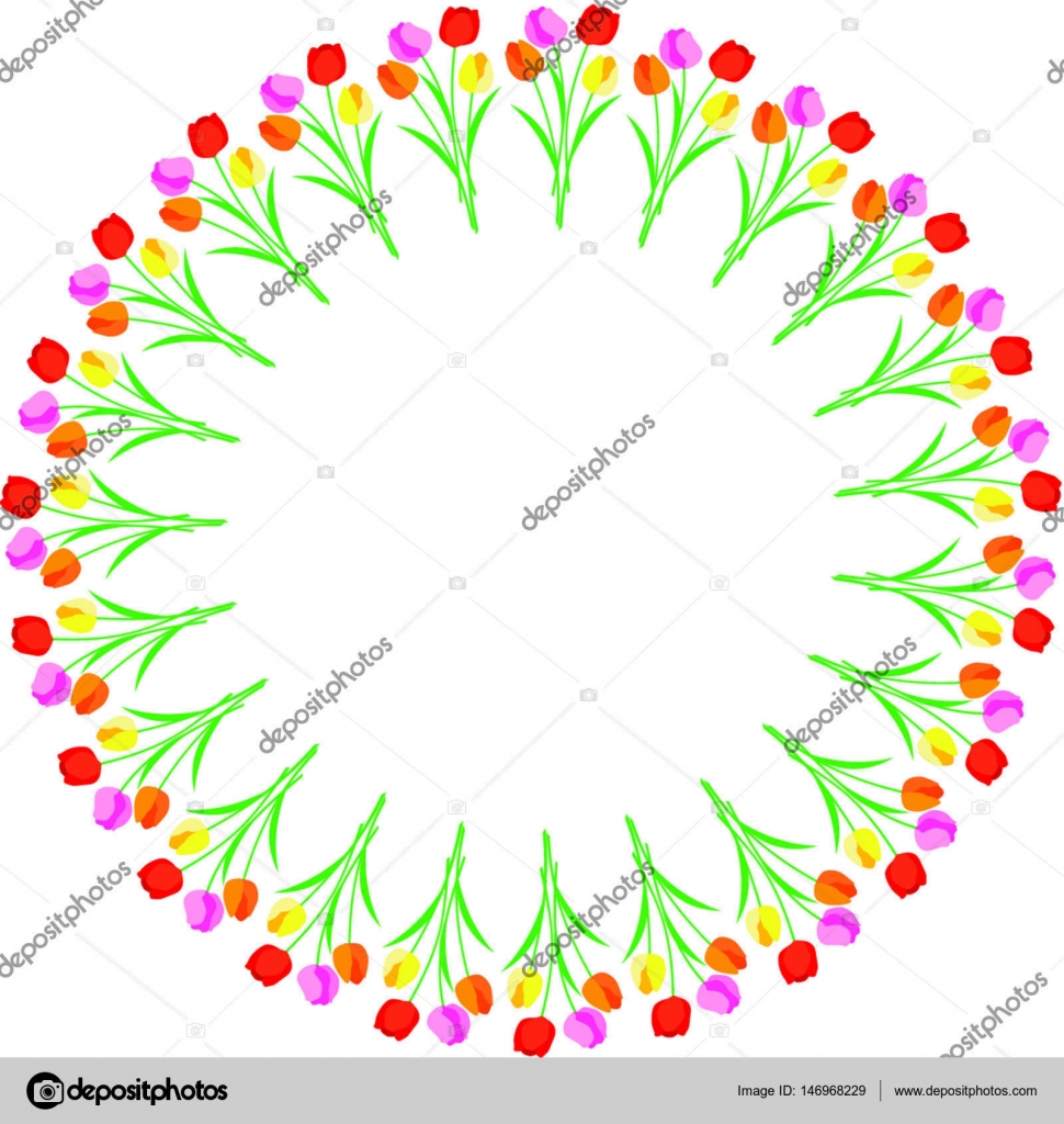 Tulip flowers circle frame Stock Vector Image by ©scrapster #146968229