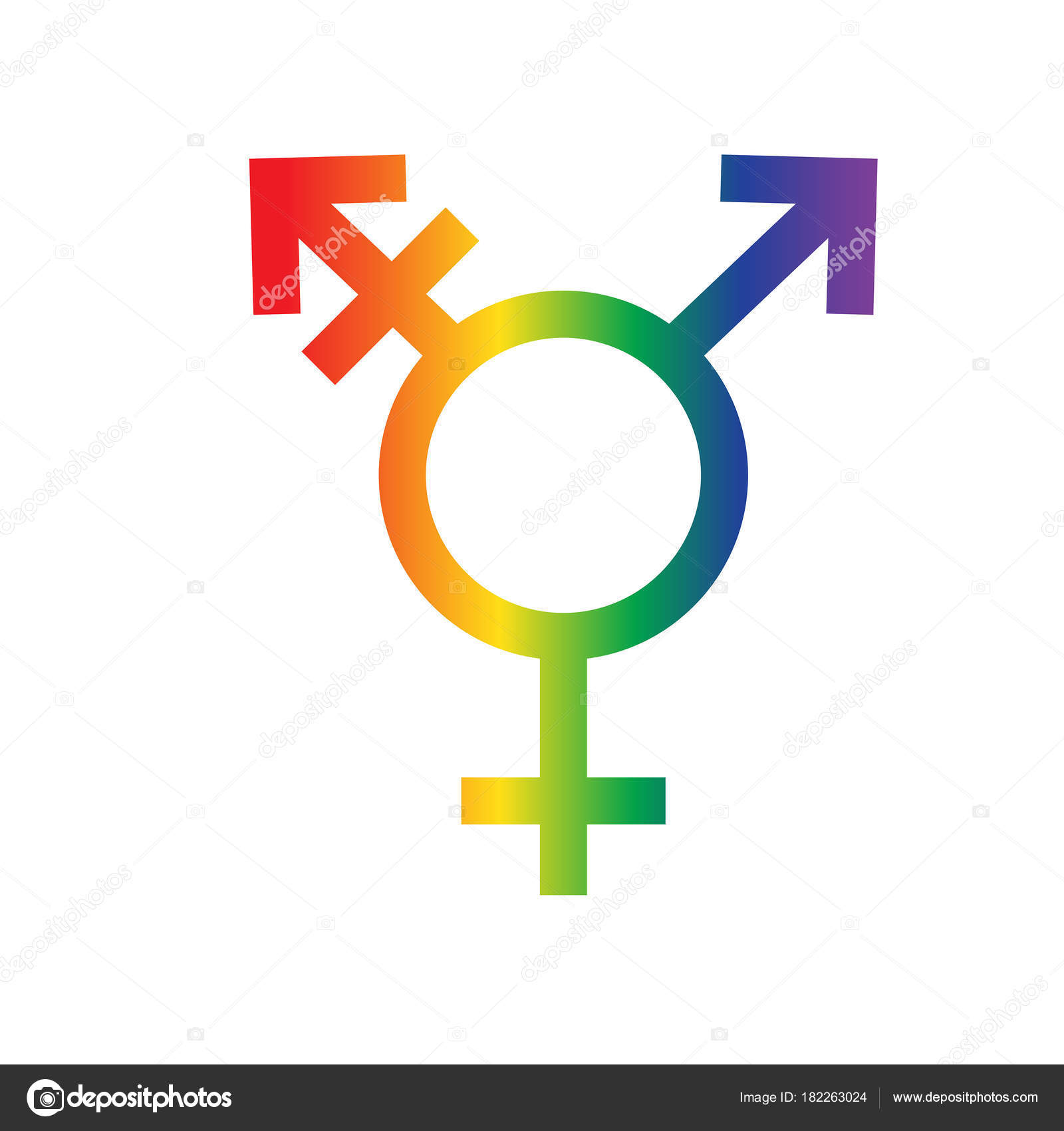 Rainbow Pride Trans Icon White Background Stock Vector Image by ...