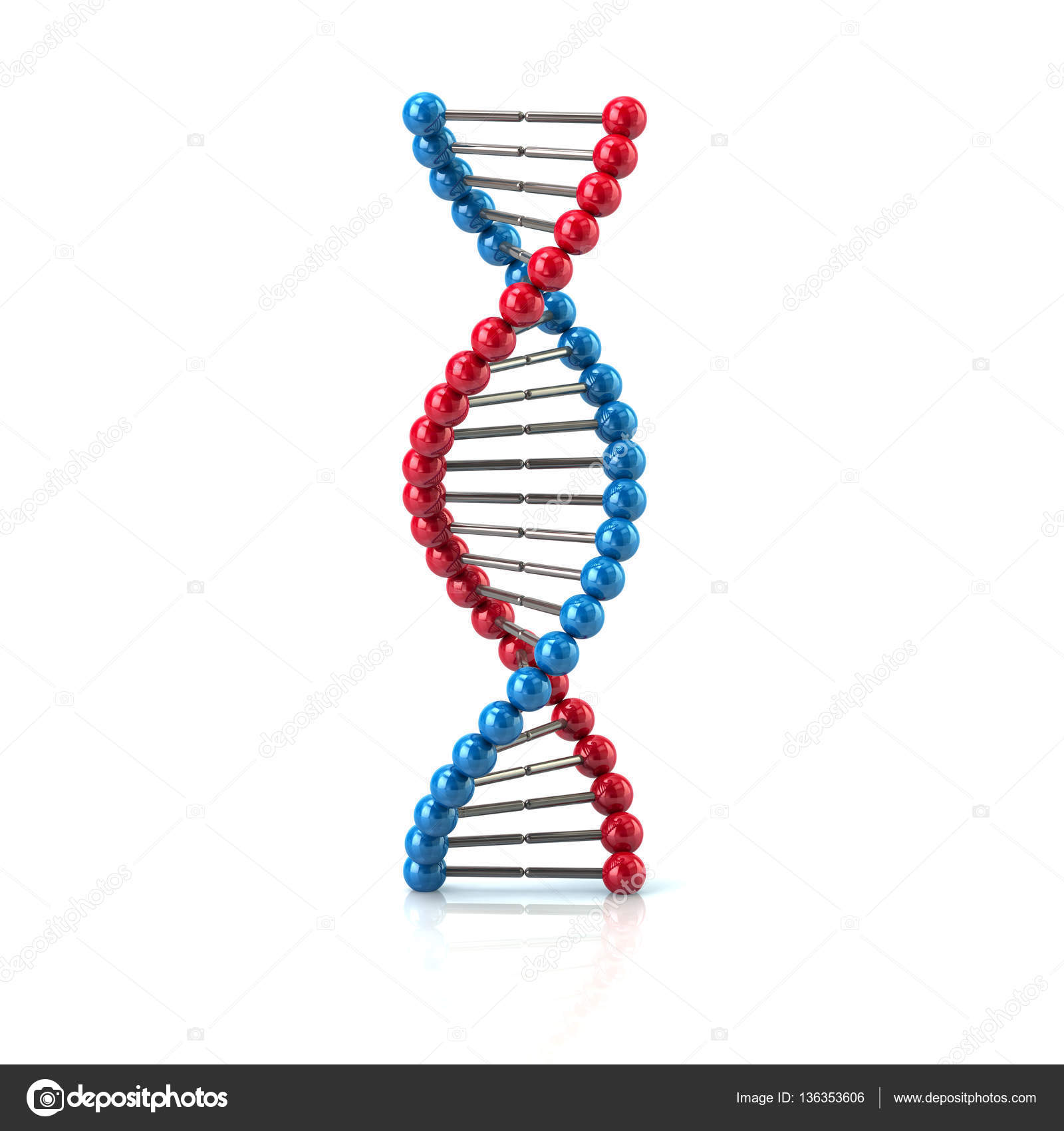 Icône ADN bleu et rouge image libre de droit par valdum © #136353606