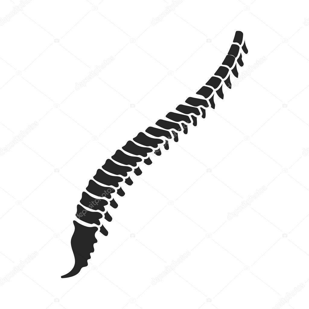 Spine icon in black style isolated on white background. Organs symbol ...