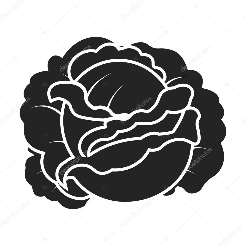 Cabbage icon in black style isolated on white background. Plant symbol ...