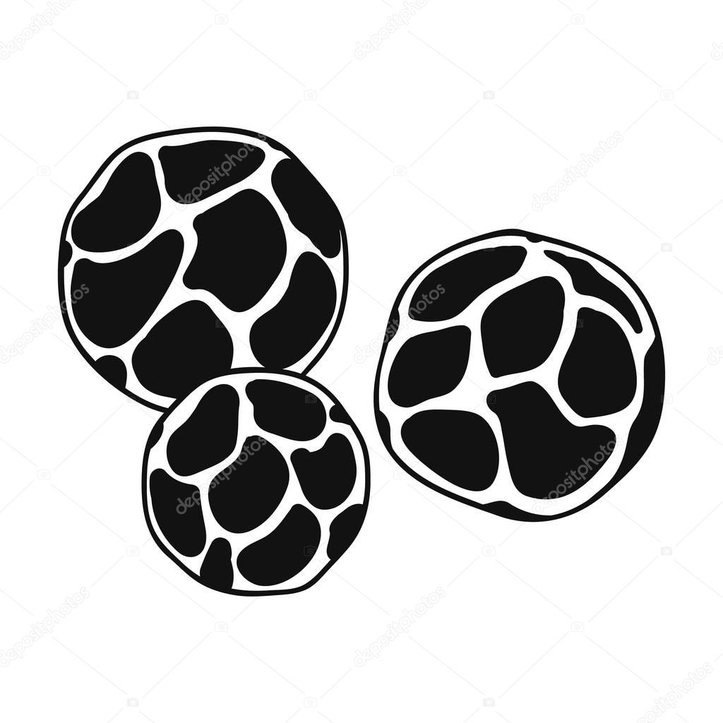 Black pepper icon in black style isolated on white background. Herb an ...